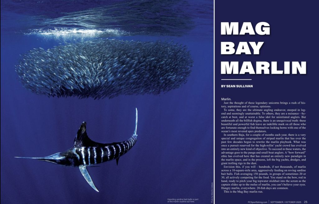 Magdalena Bay Striped Marlin Fishing | Mag Bay Sardine Run